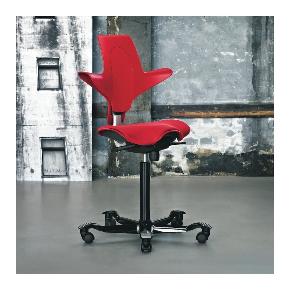 capisco-ergonomic-chair (1) | JandSVision