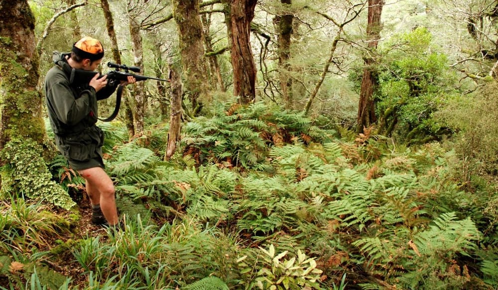 image_2 | JandSVision