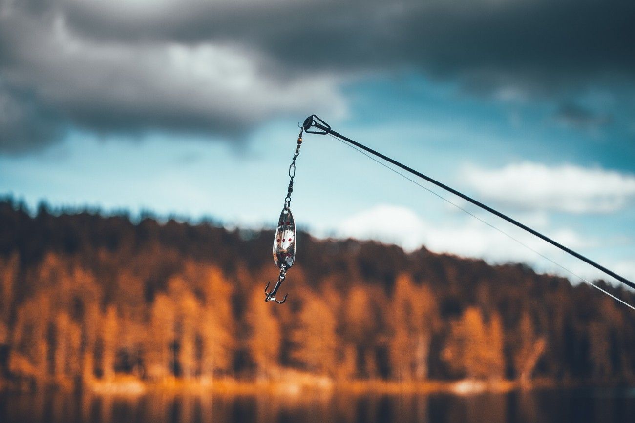 bait-daylight-fishing-lure | JandSVision